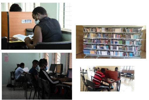 Management University of Africa
